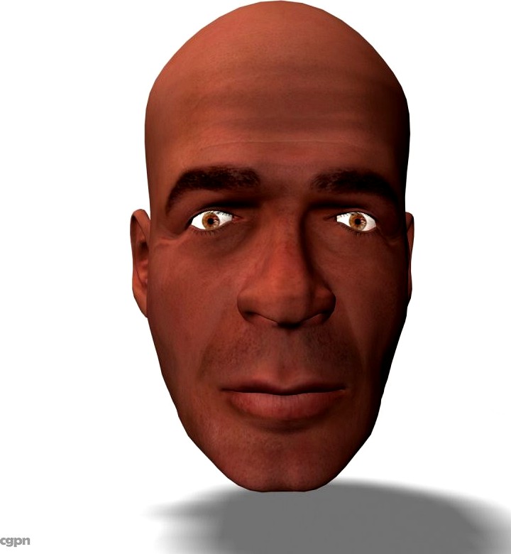 animated male head3d model