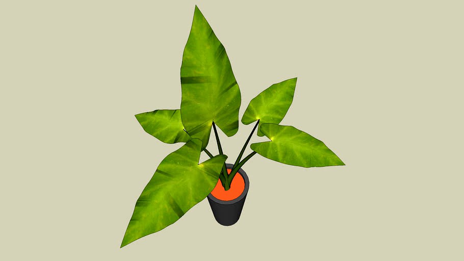 pokok keladi 3d model