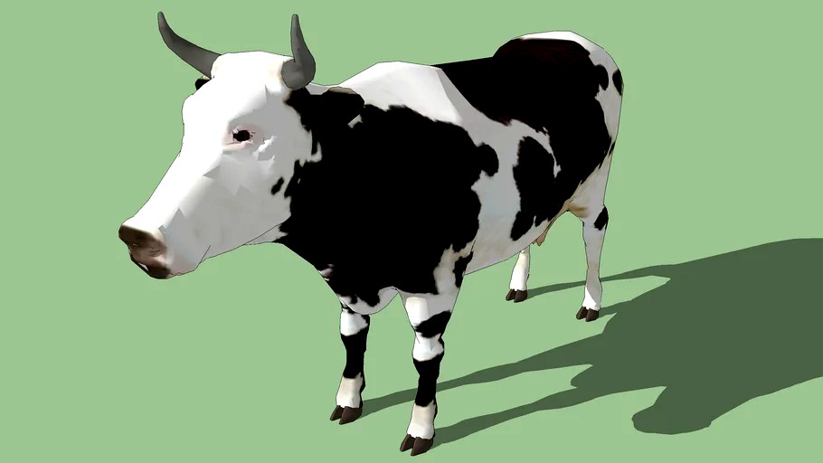 sapi 3d model
