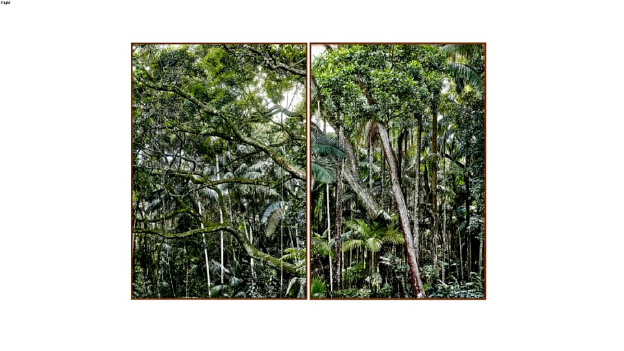 Save The Atlantic Forest 3d model