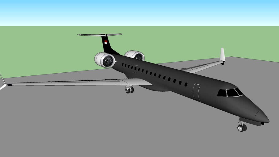 Boembraer 7N7 Boeing and Embraer. 3d model