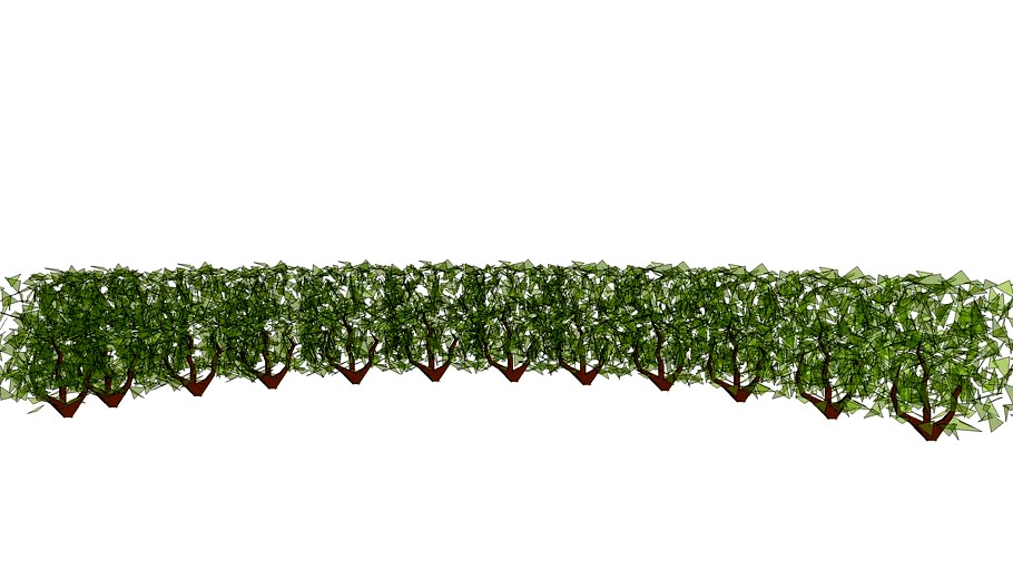 GREEN ISLAND FICUS ARC HEDGE 3d model