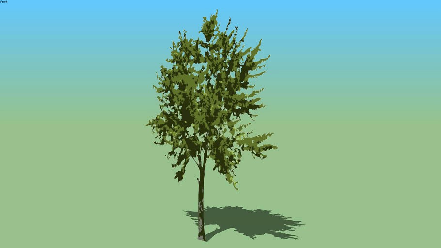 Tree-Deciduous-2D 3d model