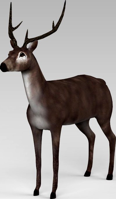 Low Poly Buck3d model