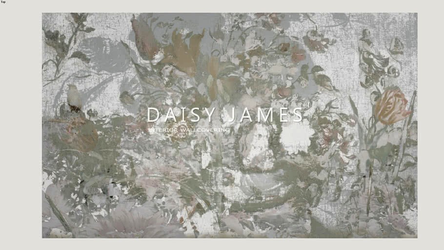DAISY JAMES Wallcovering The Singer 3d model