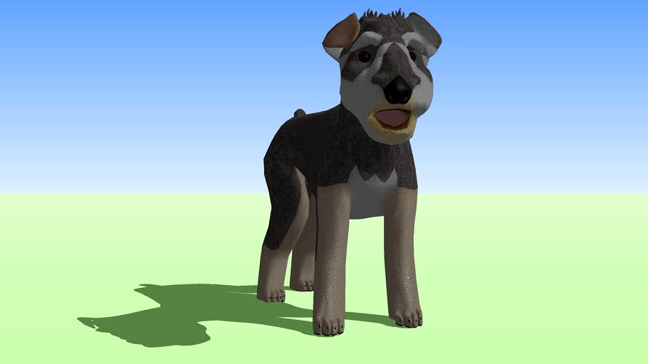 Miniature Schnauzer 3d model