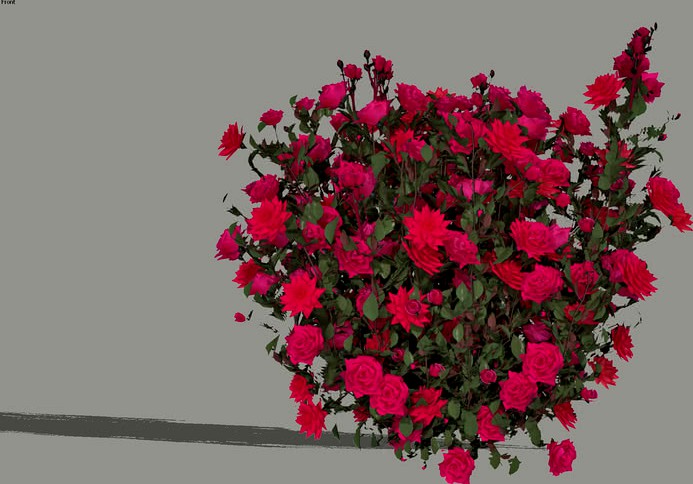 Double Knockout Rose 2D Cutout 3d model