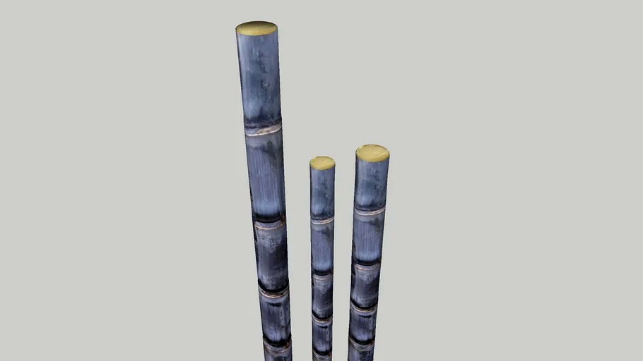 sugarcane 3d model