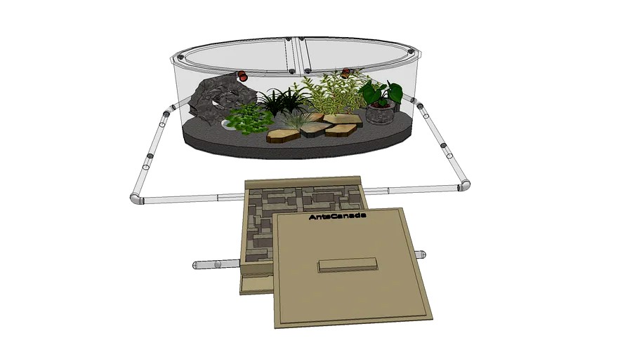 AntsCanada formicarium 3d model