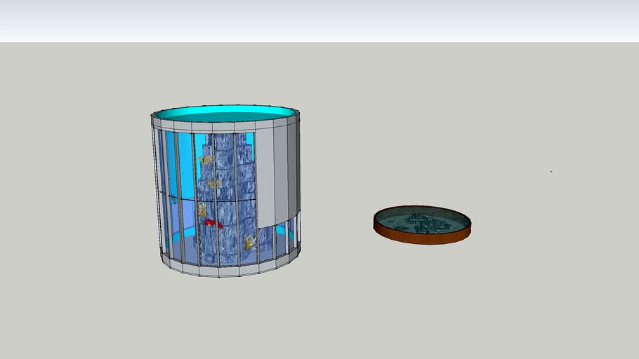 Reef Shark Tall Tank & Nurse Shark Ray Touch Tank 3d model