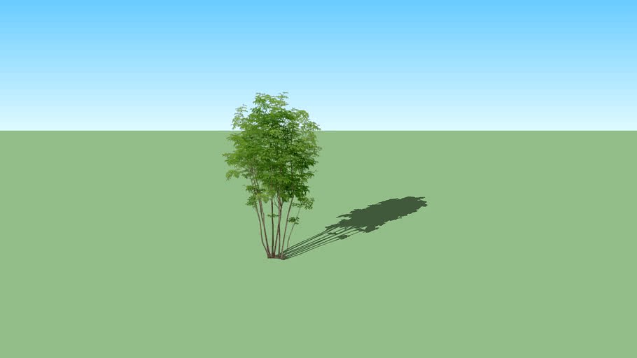 2d tree 01 3d model