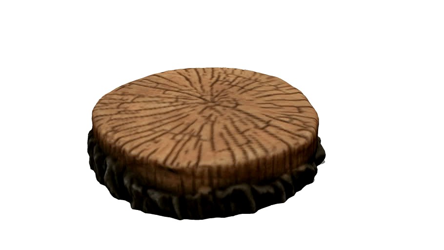 Tree Slice 3d model