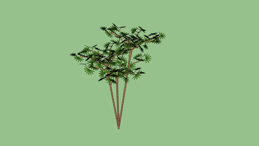 cassava crop 3d model