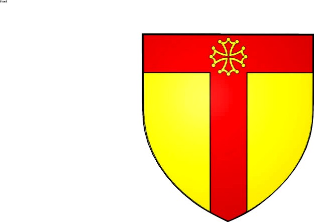 blason du département du Tarn (81) 3d model
