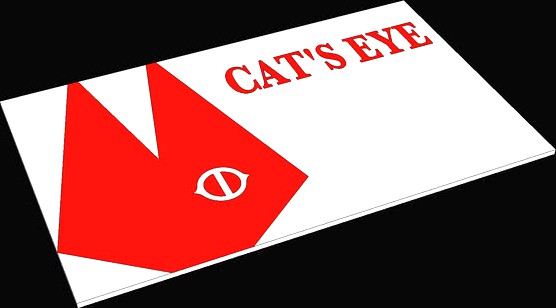 Cat's Eye Card 3d model