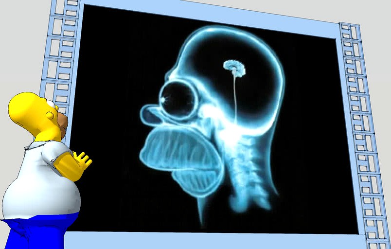 Homer Simpson - xRay 3d model