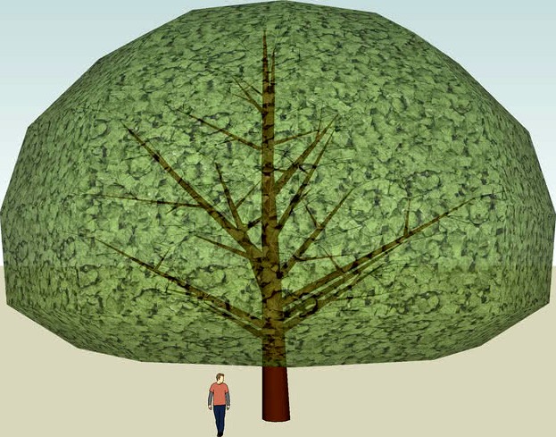 generic oak 3d model