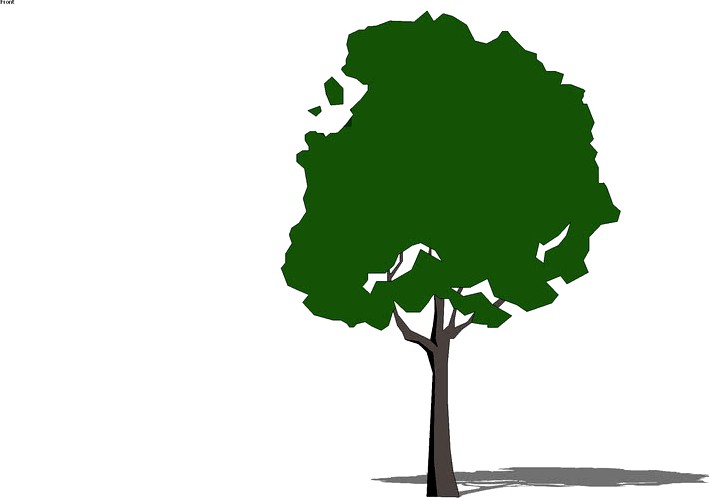 2D schematic oak2 tree 3d model