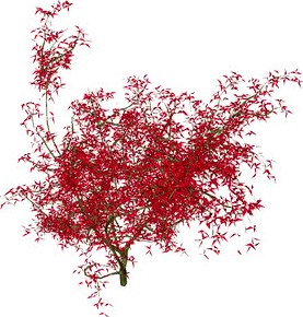 Scratch tree 3d model