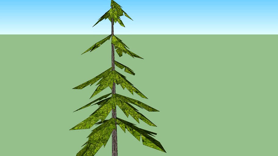 Simple Pine Tree 3d model