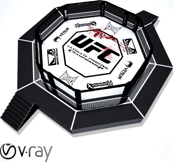 UFC Octagon Ring 3d model