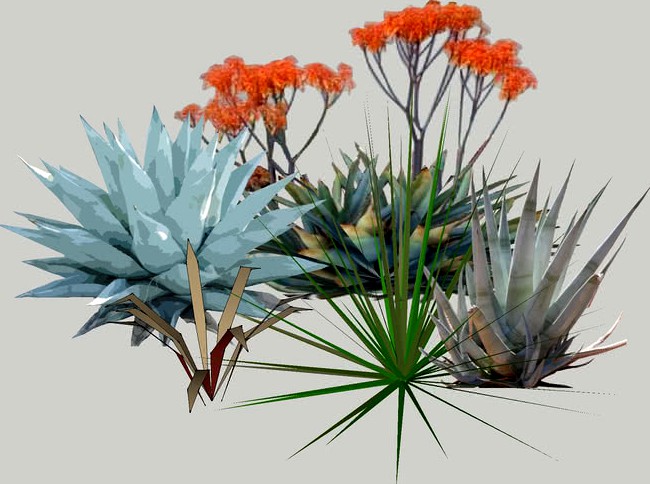 Desert Plants 3d model