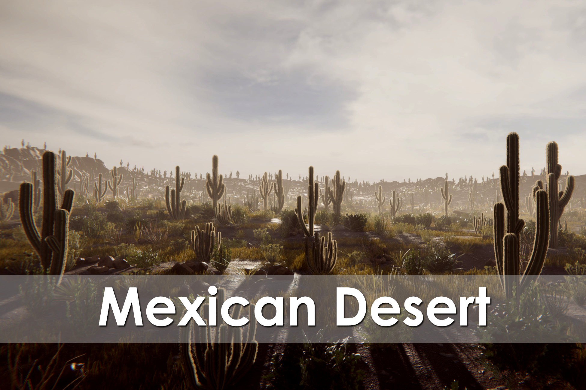 Mexican Desert Vegetation 3d model