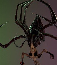 Spider_Woman 3d model
