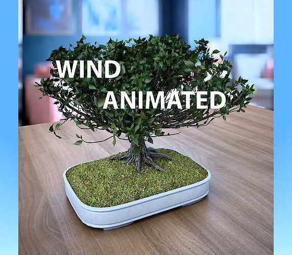 Wind Animated - American Elm Bonsai 001 3d model