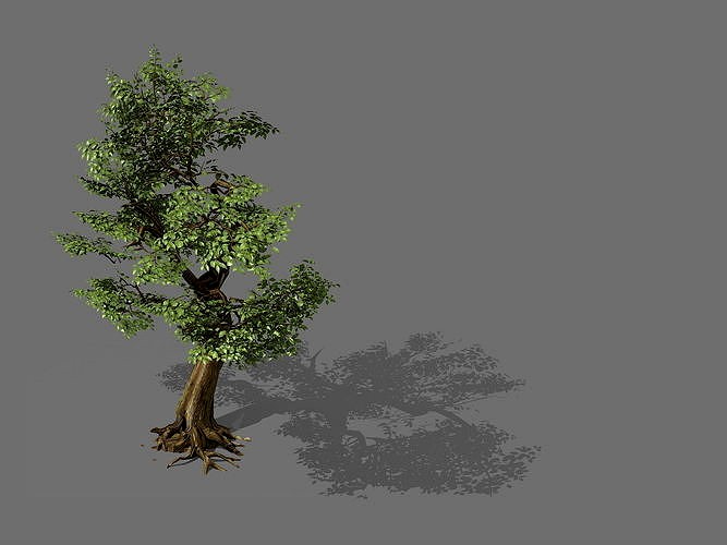 Game Models - Forest - Trees 06 3d