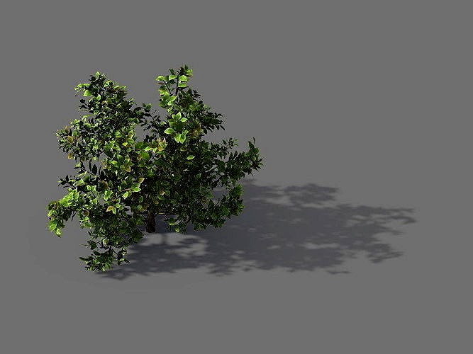 Game Model - Forest - Shrub 13 3d