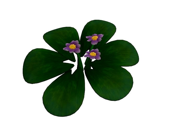 Cartoon plant - clover 3d model