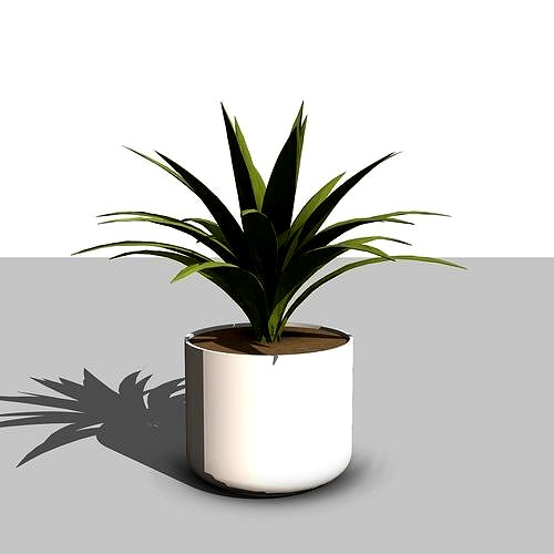Revit scalable and detailed plant arquiplant07 swappable planter 3d model