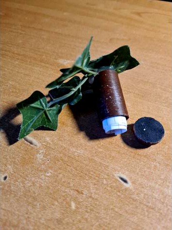 Evil Geocaching cache with ivy by PixelPicker 3d model