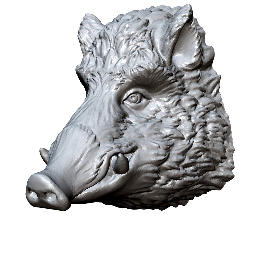 boar head sculpture 3d model