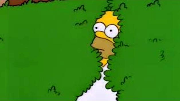 Homer disappear by jesus14144 3d model