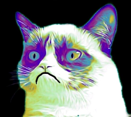 GRUMPY CAT 2D meme by Build_and_Beyond 3d model