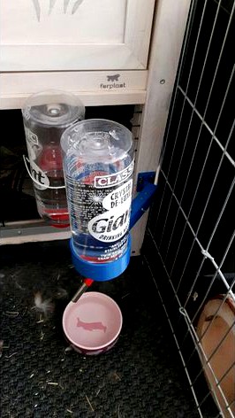 Water tank level monitoring for rabbits by esra 3d model