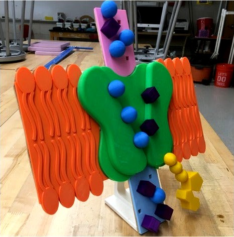 Active Transport Protein by ezun18 3d model