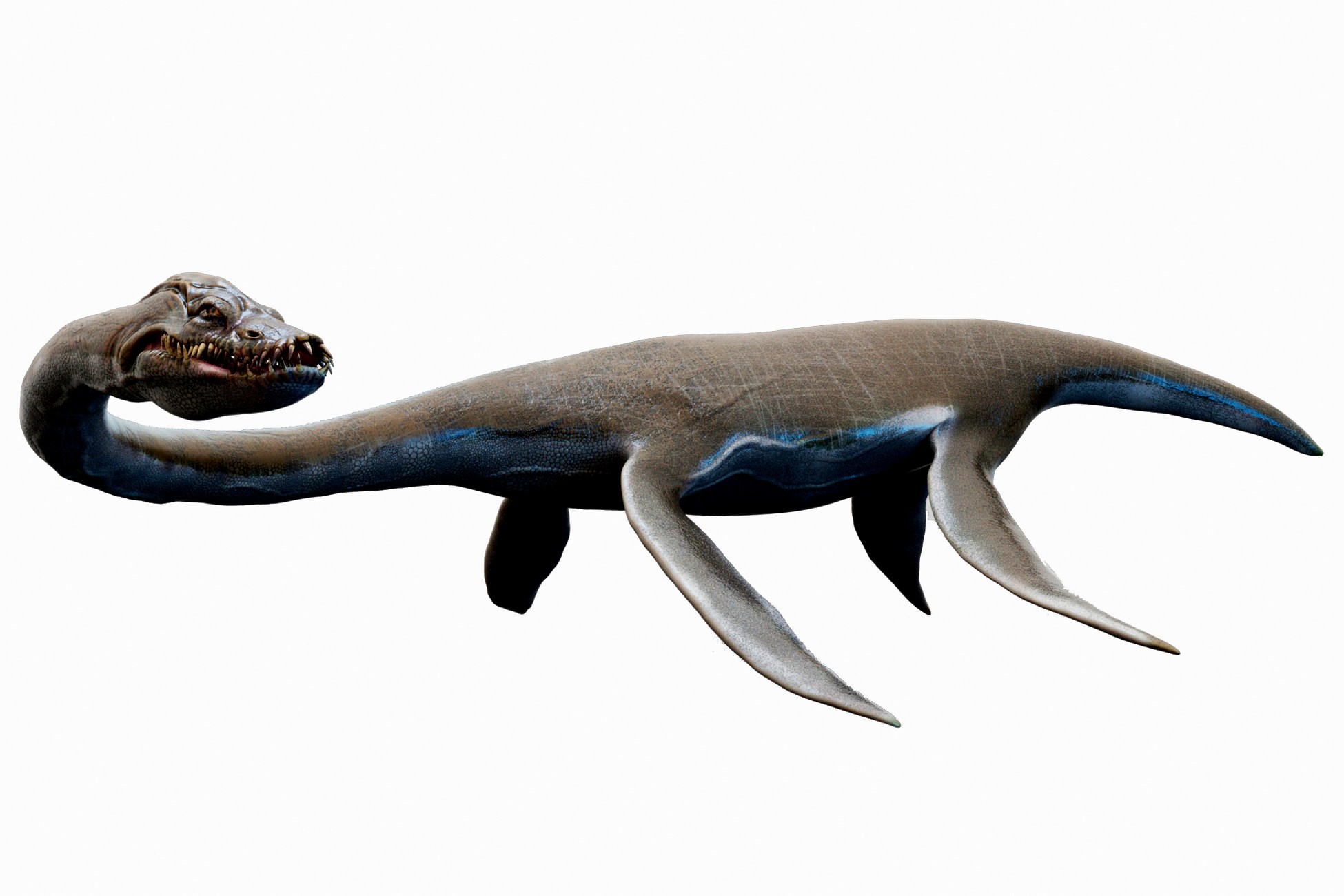 Styxosaurus Model 27 Animations 3d