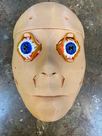 Lateral Canthotomy Trainer by archieport 3d model