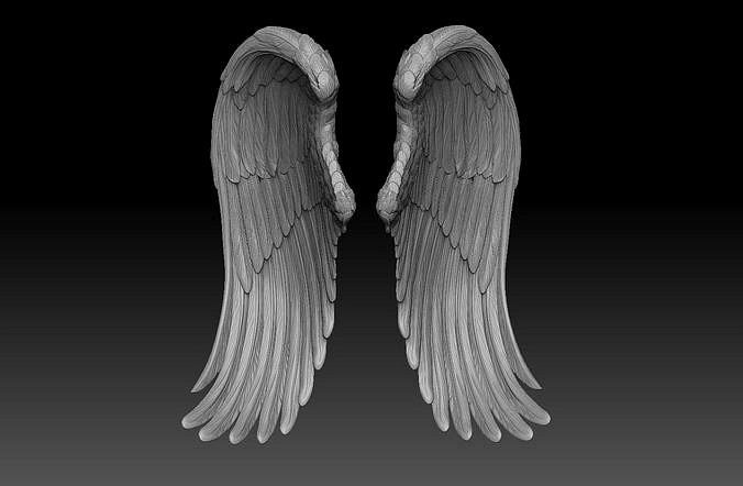 angel wings 3d model | 3D
