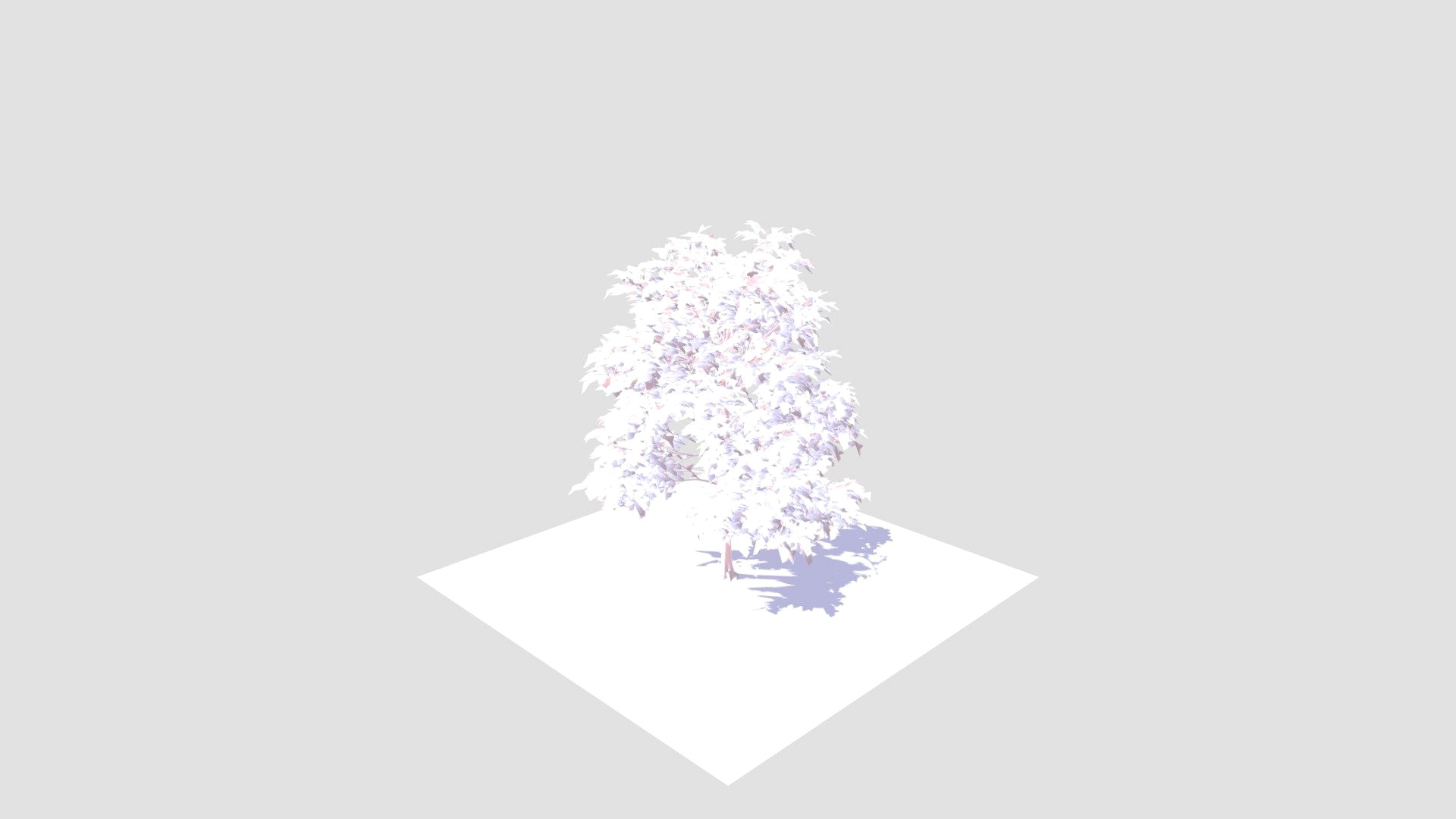 Tree for Blender 3d model