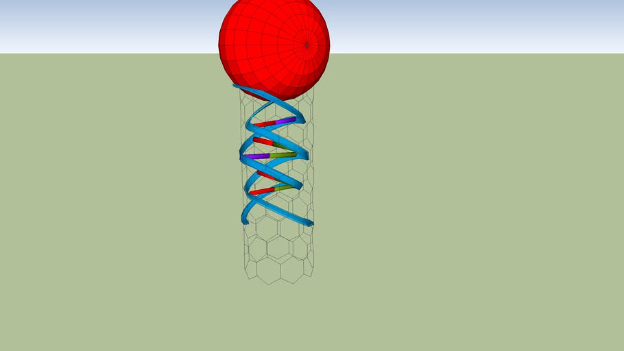 ADN modification 3d model
