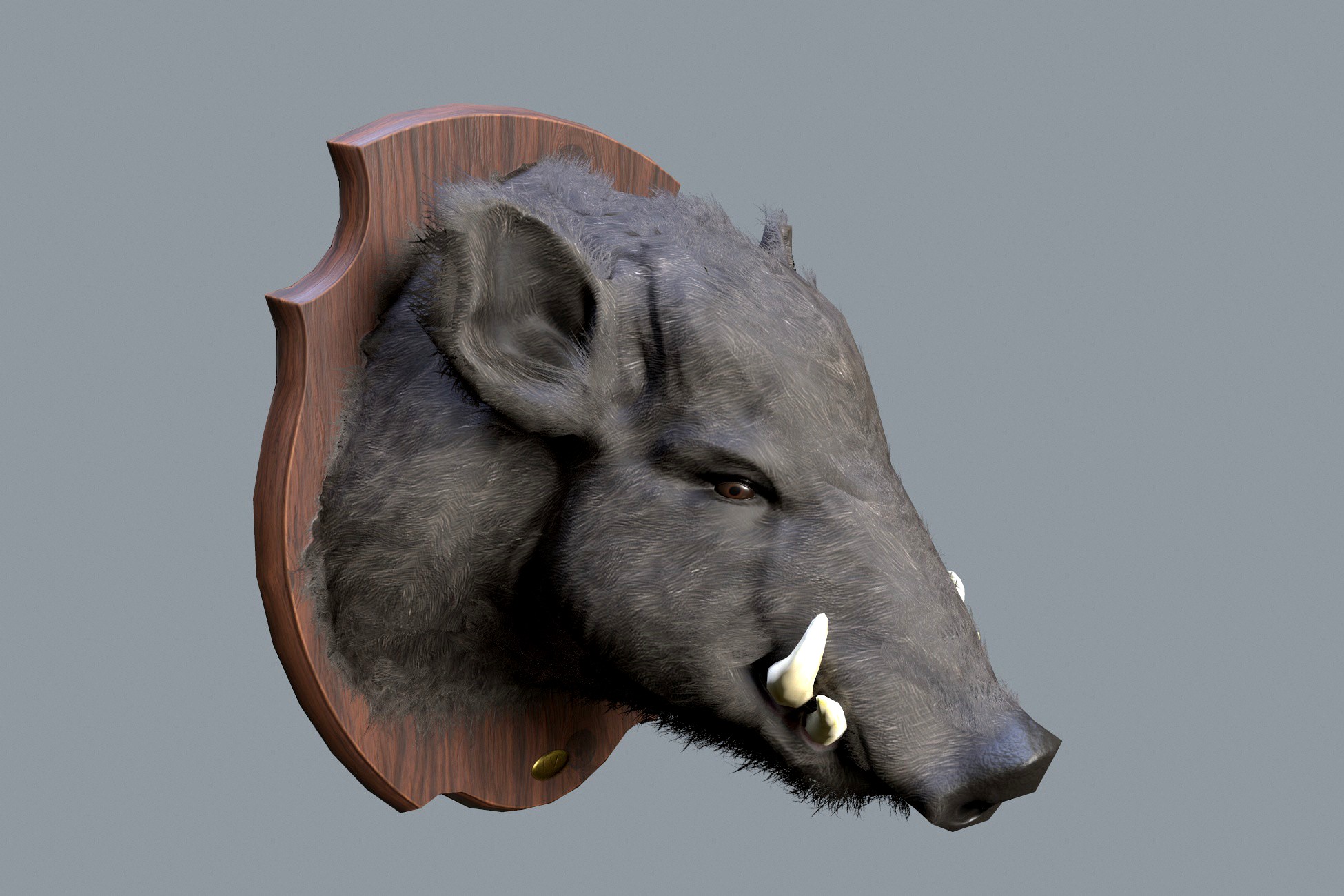 Wild Boar head 3d model