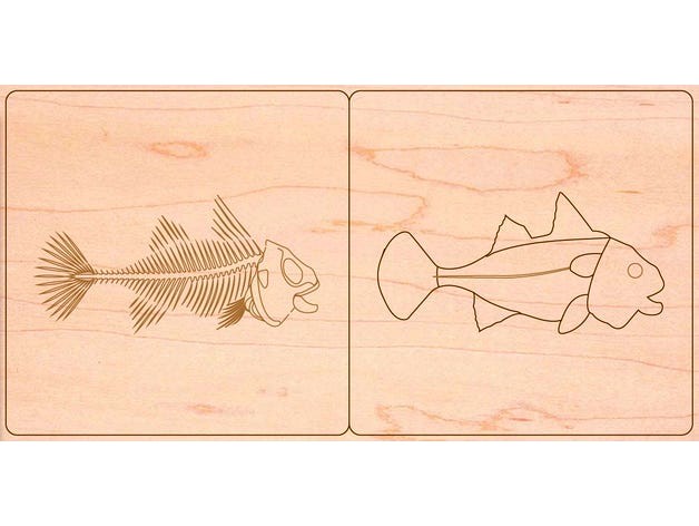 Fish zoology animal puzzle montessori for laser cut by atamblay 3d model