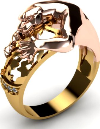 Puma ring 3D Model