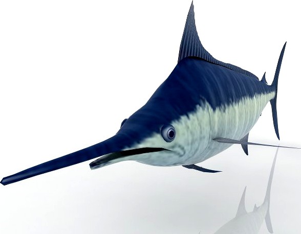 Swordfish 3D Model