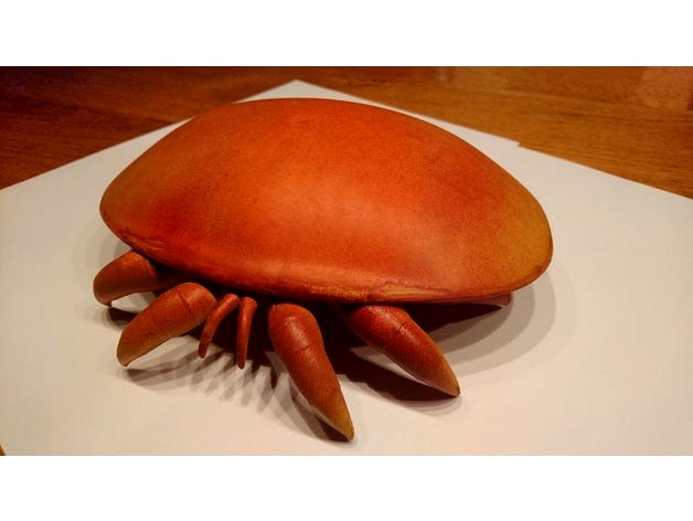 Varroa destructor by BeeXeeb 3d model