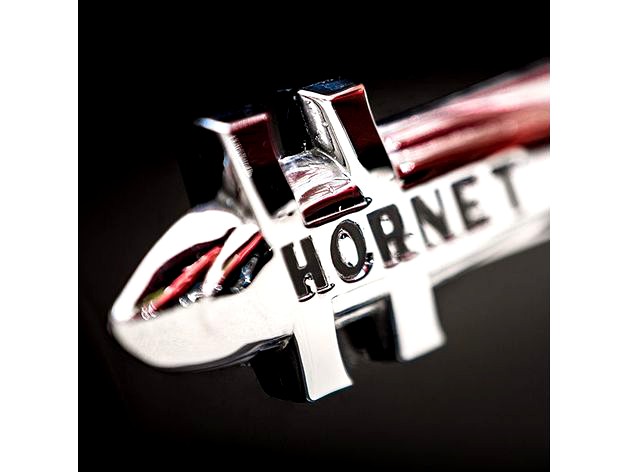 Hudson Hornet Logo by alexandre33150 3d model